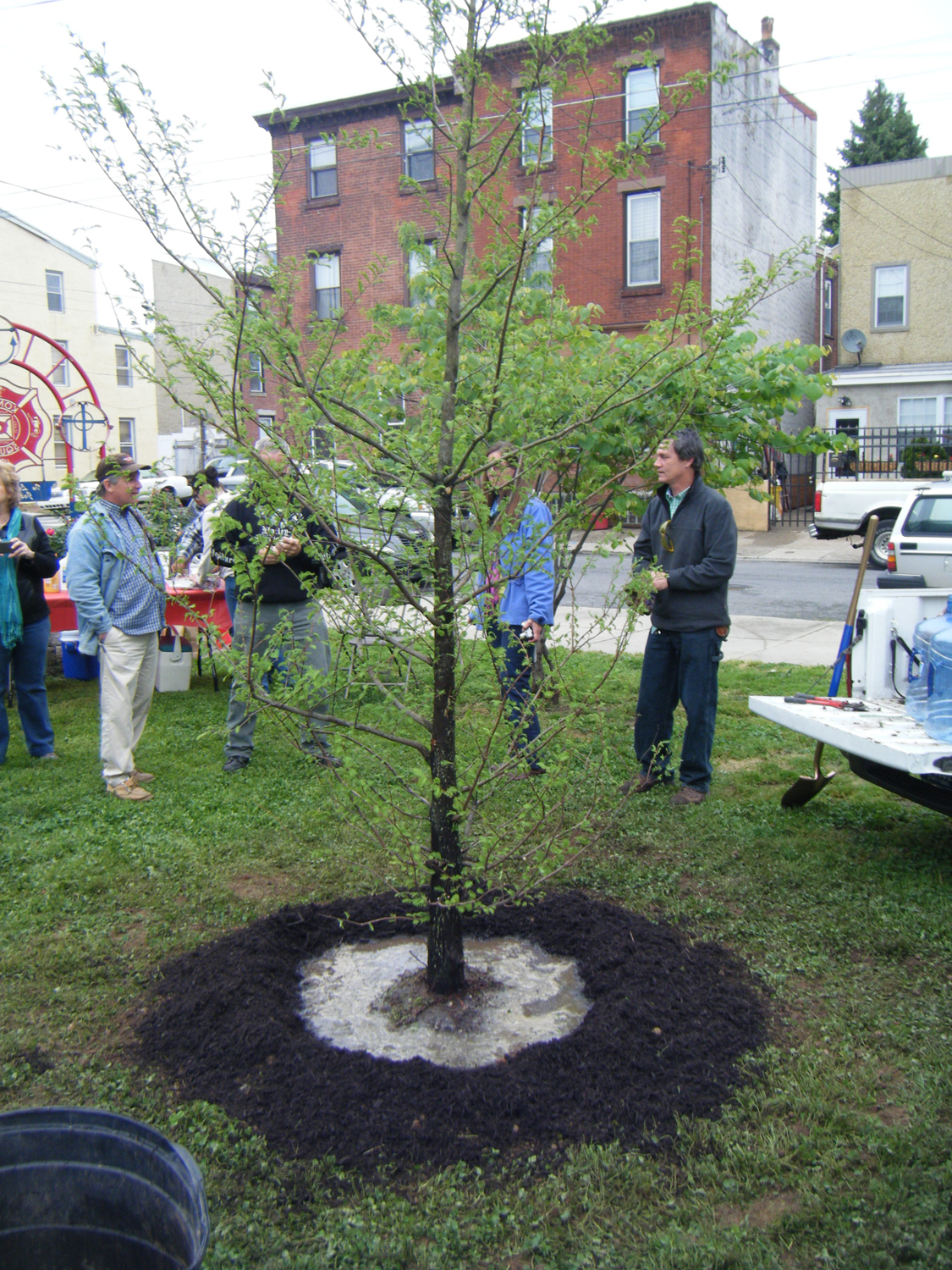 The Boy Who Loved Trees – Spirit News - Spirit News